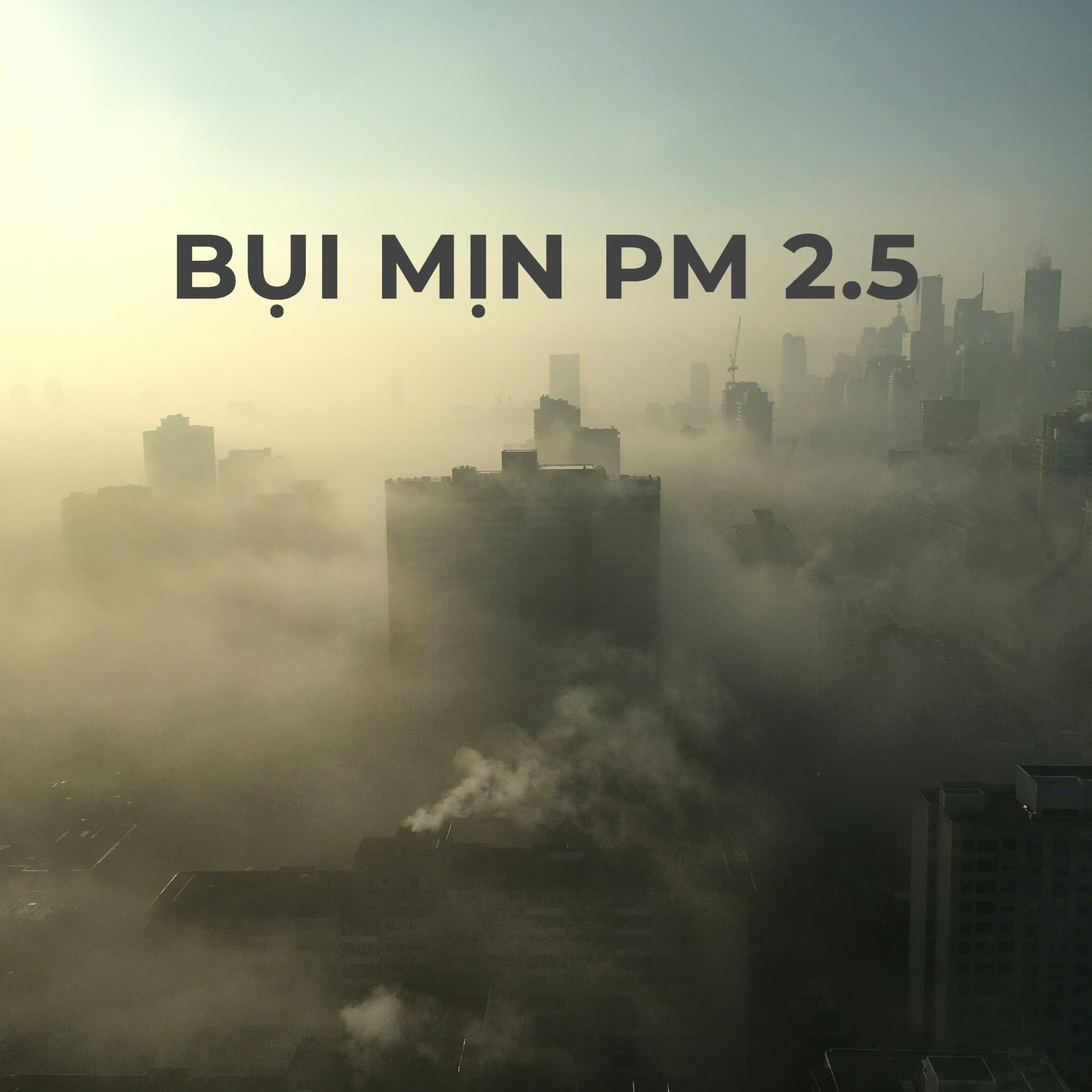 Bụi mịn PM2.5 là gì? Tác hại của bụi mịn PM2.5 với làn da - Instant Cosmetics